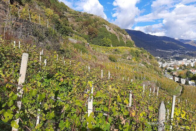Private Wine Tour: Terraced Vineyards with Alpine view from Milan - Key Points