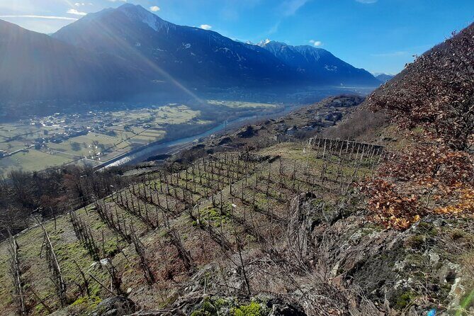 Private Wine Tour: Terraced Vineyards with Alpine view from Milan - Who Is This Tour Best For?