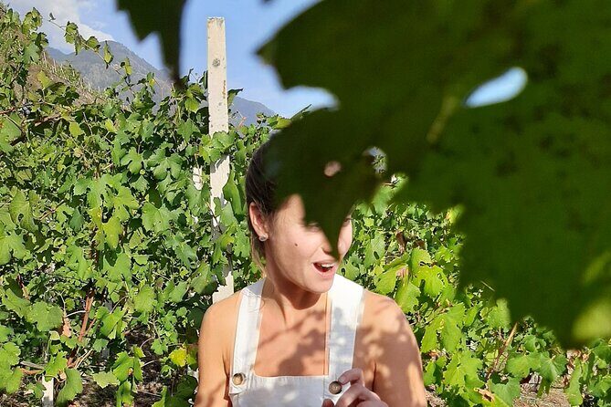 Private Wine Tour: Terraced Vineyards with Alpine view from Milan - FAQ