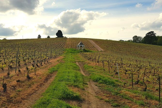 Private wine tour to Champagne region from Paris - Who Should Consider This Tour?