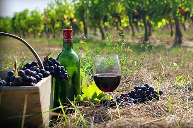 Private Wine Tour to Kakheti from Tbilisi - Who Is This Tour Best For?