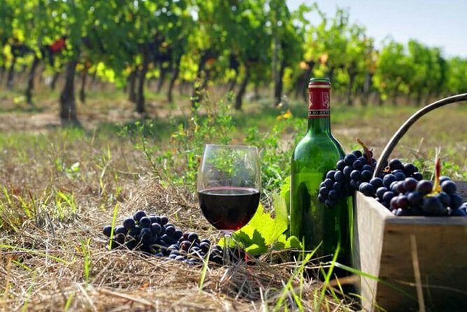 Private wine tour to Khor Virap, Areni winery, Noravank - Exploring Armenia’s Hidden Gems: A Detailed Review of the Private Wine and Monastery Tour