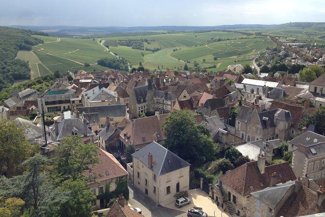 Private wine tour to Sancerre vineyards from Paris with Sommelier - The Complete Experience: An In-Depth Look
