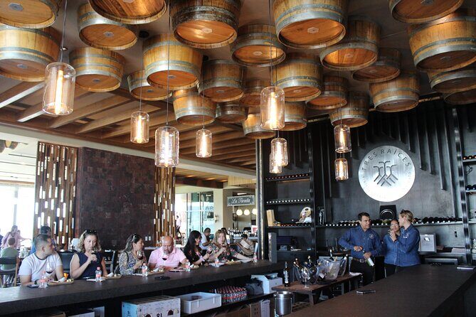 Private Wine Tour, Winemaker for a Day, Wine Pairing and Tasting - A Deep Dive into the Experience