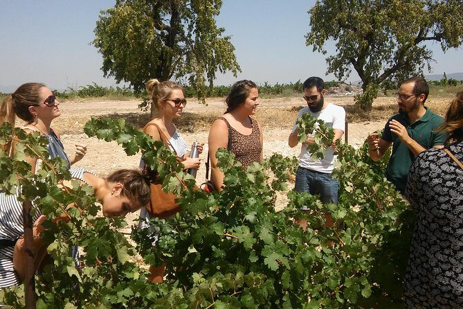 Private Wine Tour with Wine Tasting and Full Lunch (day trip) - A Genuine Look at the Private Valencia Wine Tour with Tasting and Lunch