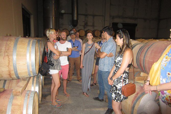 Private Wine Tour with Wine Tasting and Full Lunch (day trip) - The Practical Side: Logistics and Tips