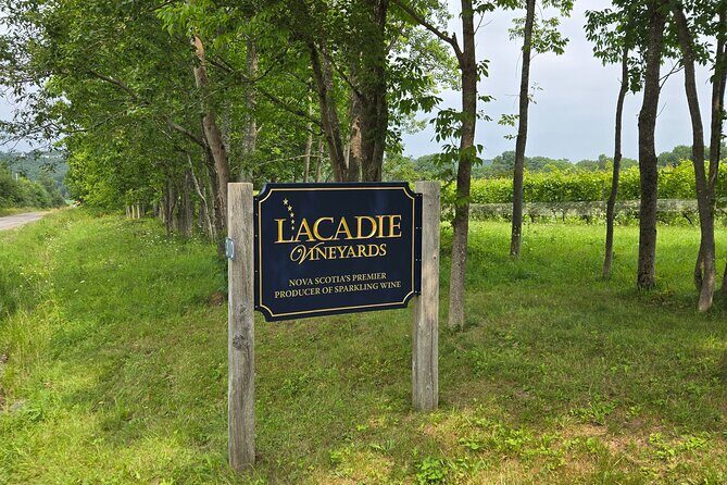 Private Wine Tours from Halifax - Why Choose the Private Wine Tour from Halifax?