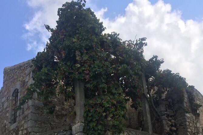 PRIVATE-Winery+Olive Oil Factory-Old Villages-Old Wind Mills - FAQ