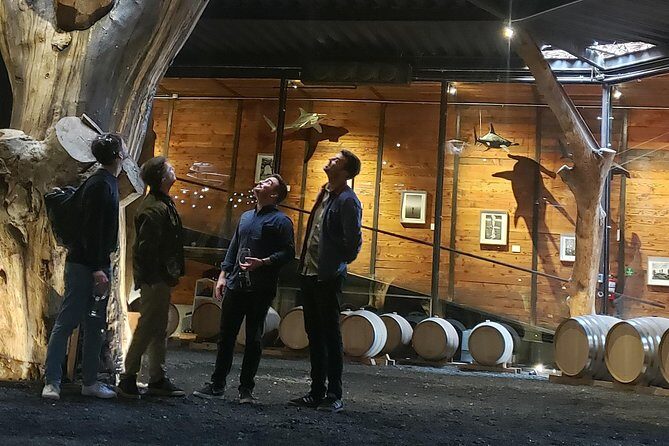 PRIVATE WINETASTING TOUR (Transportation,custom schedule) - The Experience in Detail