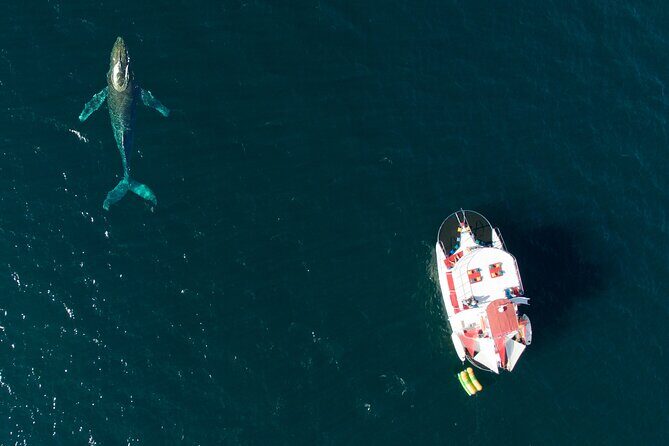 Private Yacht Charter ChicaFUN 3 Waterslides All Inclusive - Practical Details and Considerations