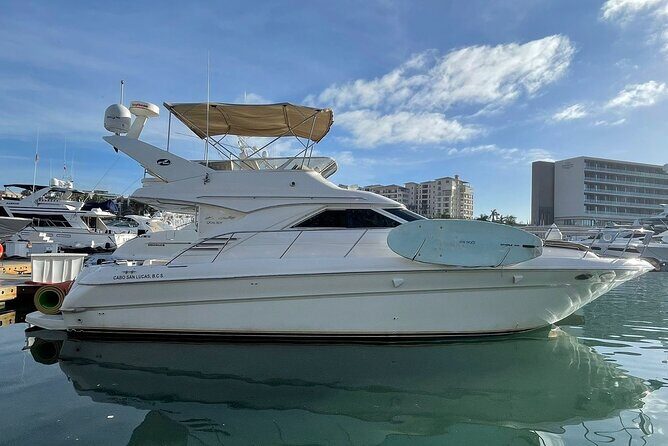 Private Yacht Cruise 3 Hours ALL INCLUSIVE price is DEPOSIT only - The Wrap-Up: Who Will Love This Tour?