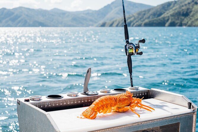 Private Yacht Cruise in the Marlborough Sounds New Zealand - Final Thoughts: Who Will Love This Experience?