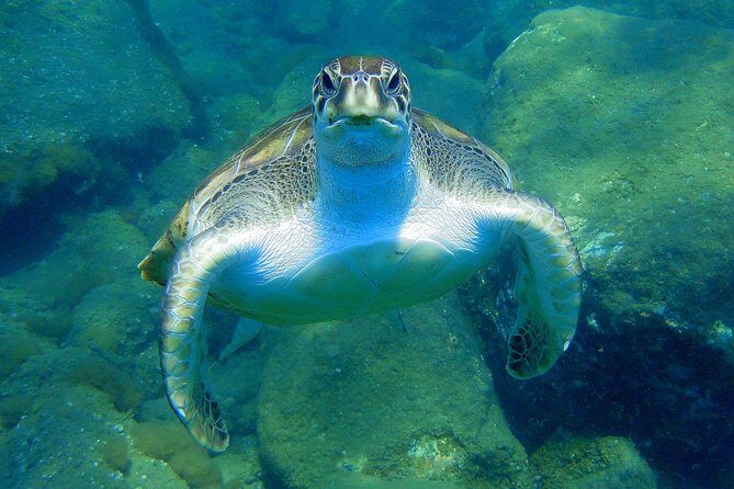 Private Yacht Excursion from Puerto Colon 3 hours - A Deep Dive into the Private Yacht Excursion Experience