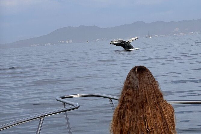 Private Yacht, Sightseeing, Snorkeling and Private beaches - FAQ