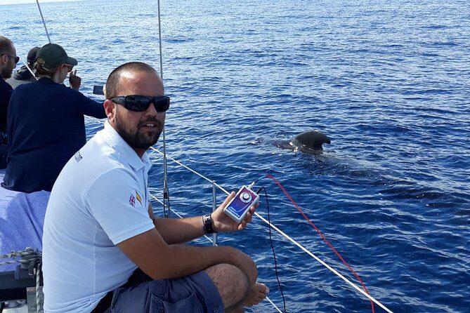 Private Yacht Tour With Whale and Dolphin Watching 42 Foot Boat - Who Should Consider This Tour?