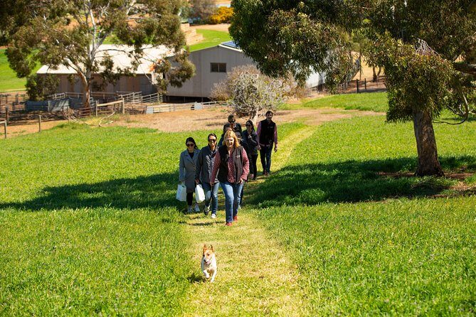 Private Yalumba Wine Tour Experience from Angaston - Final Thoughts