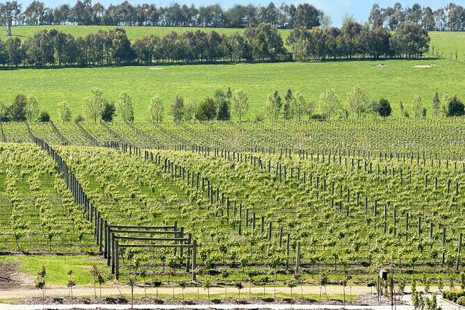 Private Yarra Valley Winery & Healesville Sanctuary Tours - Who Is This Tour Best For?