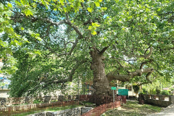 Prizren Premium Day Trip from Tirana (Semi-Private, Max 6) - The Sum Up