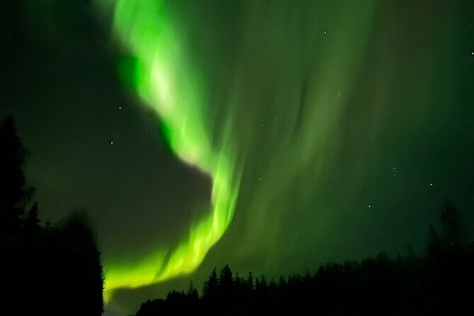 PRO Northern Lights Experience in Rovaniemi - What Travelers Are Saying