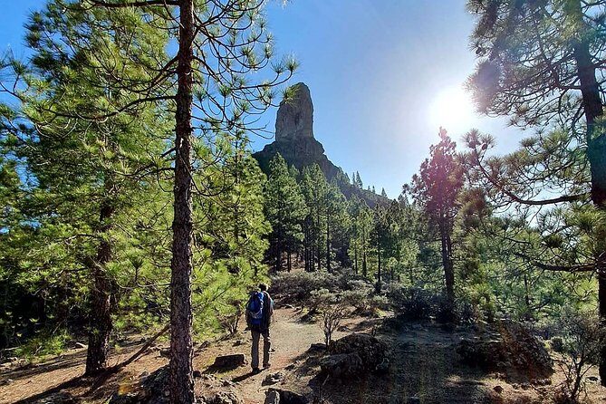 Professional climbing guide - Breaking Down the Experience: What It’s Really Like