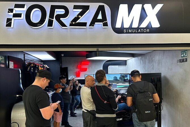 Professional racing simulator - Practical Details & Tips