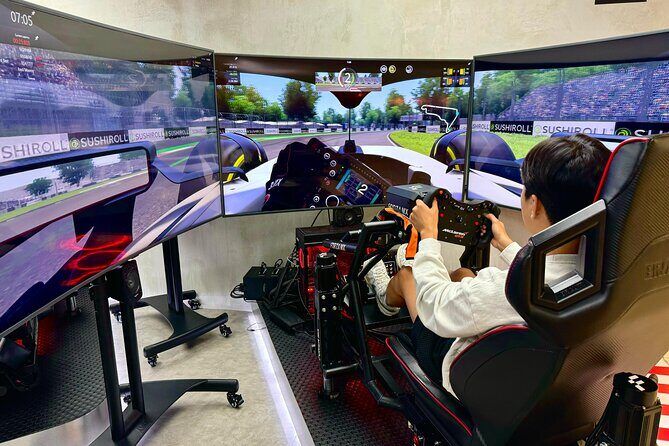 Professional racing simulator - Who Will Love This Experience?