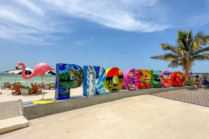 Progreso, Flamingos, Cenote, and Salt Ponds adventure from Merida - The Itinerary: What to Expect