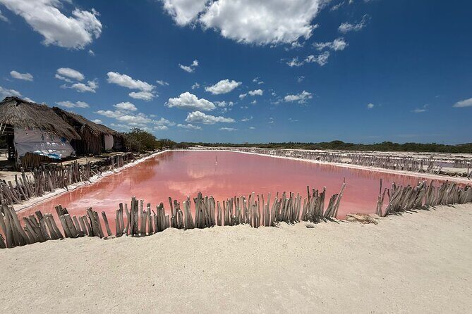 Progreso, Flamingos, Cenote, and Salt Ponds adventure from Merida - FAQ