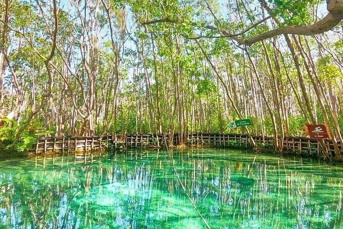 Progreso, Isla Columpios and El Corchito from Merida - Detailed Review of Each Stop