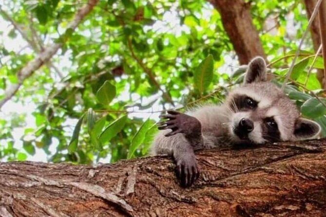 Progreso, Isla Columpios and El Corchito from Merida - Final Thoughts