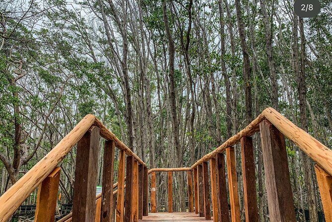 Progreso, Isla Columpios and El Corchito from Merida - Frequently Asked Questions