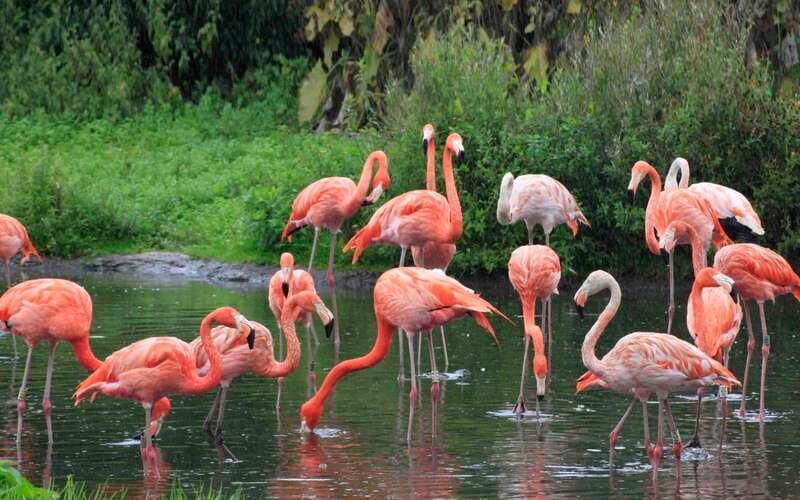 Progreso: Sightseeing Trip with Mayan Ruins & Beach Break - Practical Tips for Travelers