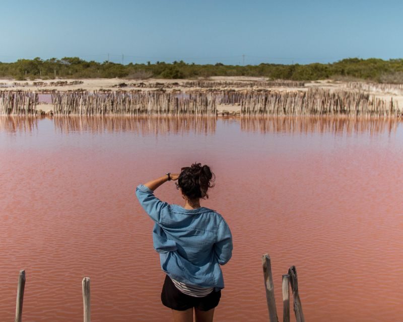 Progreso: Sightseeing Trip with Mayan Ruins & Beach Break - Final Thoughts