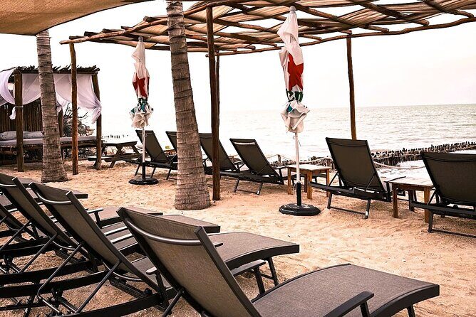 Progress Cocoloba V.I.P open bar and food included Beach club - Final Verdict