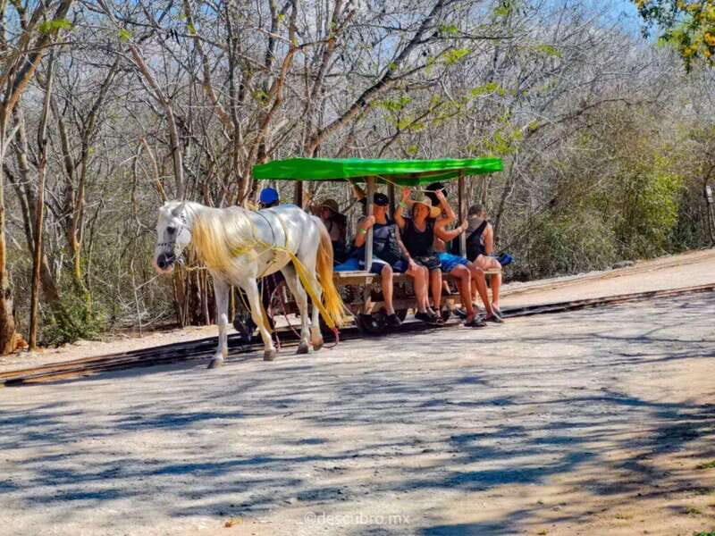 Progress: Excursion to the Santa Barbara Homun cenotes - An Introduction to the Santa Barbara Homun Cenotes Tour