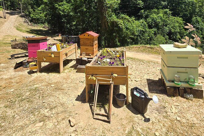 Promise Land Bee Farm Private Tour in Charleston - An Honest Look at the Promise Land Bee Farm Private Tour in Charleston