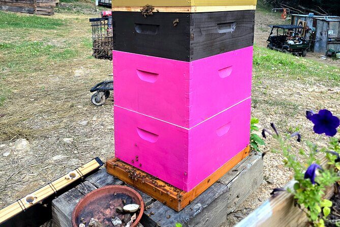 Promise Land Bee Farm Private Tour in Charleston - Key Points