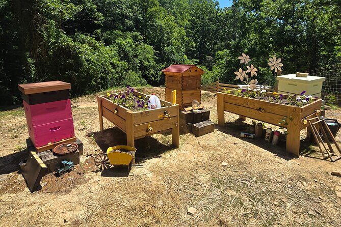 Promise Land Bee Farm Private Tour in Charleston - The Experience in Detail: Itinerary and Highlights