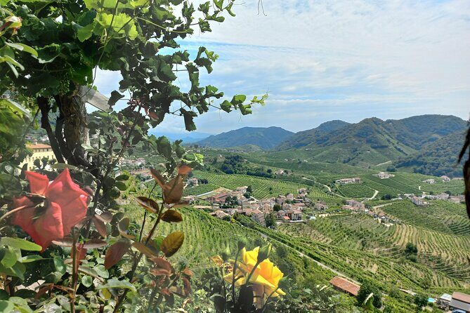 Prosecco Hills Day Trip from Venice & Treviso: 2 Wineries - Cost and Value