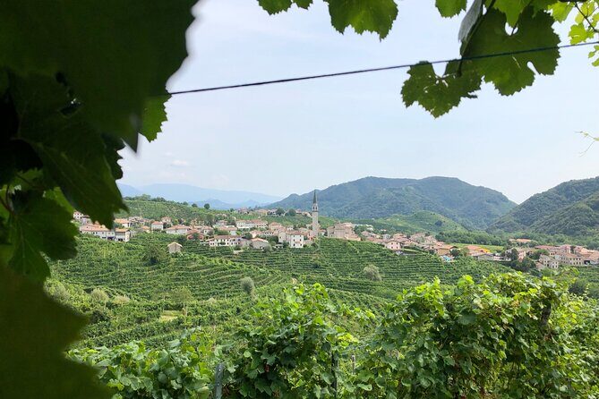 Prosecco Hills Wine and Cheese Gourmet Discovery - The Sum Up