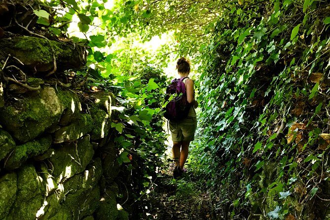 Prosecco Origins Wine Experience - Exploring the Prosecco Origins Wine Experience