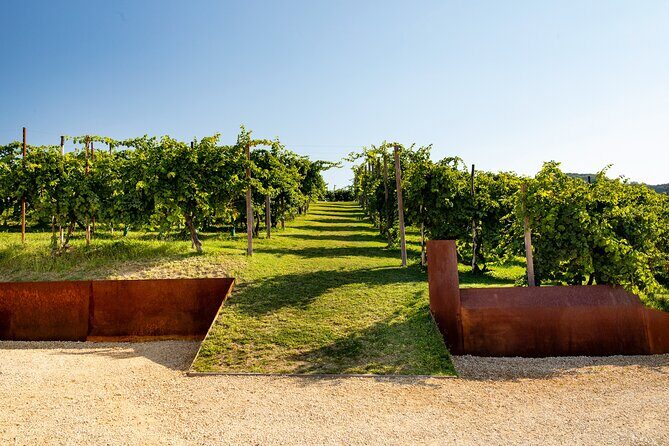 Prosecco tasting, appetizers and tour of the cellar and vineyards - Key Points