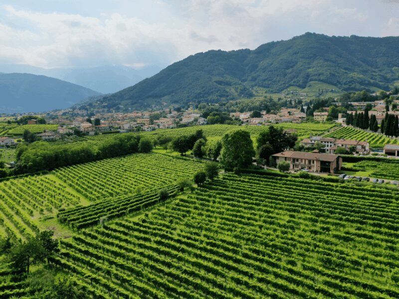 Prosecco Tasting in Countryside Winery - The Itinerary and Its Highlights  