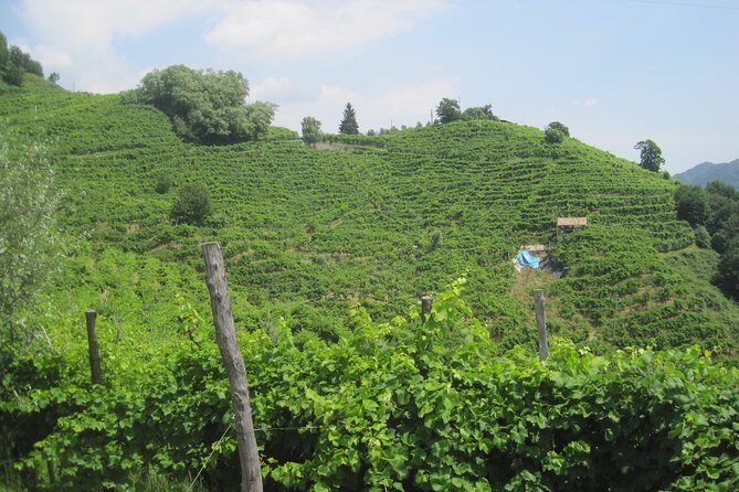 Prosecco Wine Tour (all-inclusive full day with lunch and expert wine guide) - The Itinerary in Detail