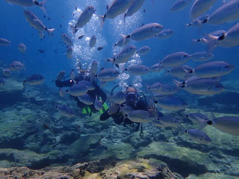 Protaras: Cape Grecko Single Dive for Qualified Divers - Dive Sites and Marine Encounters