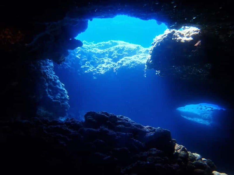 Protaras: Cape Grecko Single Dive for Qualified Divers - Pricing and Value for Money