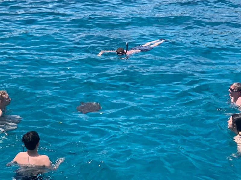 Protaras: Harmony | Value Turtle Luxury Boat with Slide - Key Points