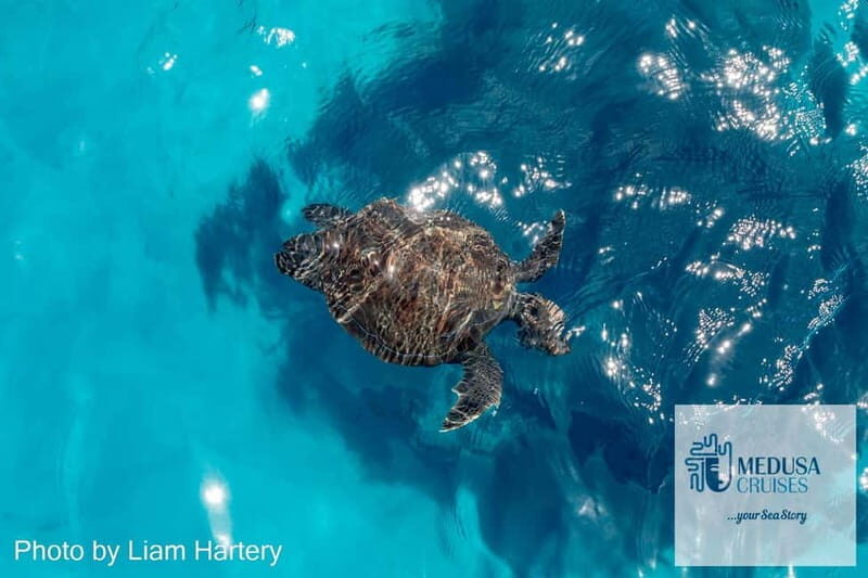 Protaras: Medusa Chill-Out Cruise to Blue Lagoon & Sea Caves - A Deep Dive into the Experience