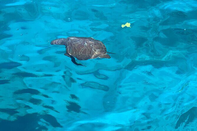 Protaras: St Georgios Presidential Cruise BBQ & 1 drink. 16+ - Key Points