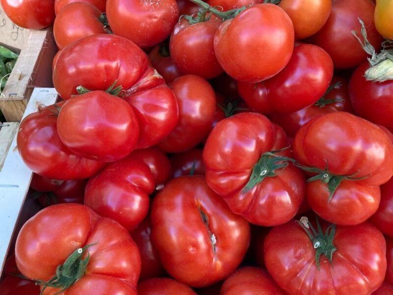 Provencal Market Walking Tour with Tastings - What to Expect on the Tour